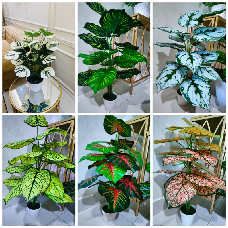 Pokok Hiasan Dalam Rumah Keladi Viral Fake Plant Decoration Monstera ...