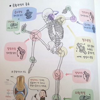 Stonehouse's Anatomy Note by Seok Jung Hyun Korea Drawing Guide book ...