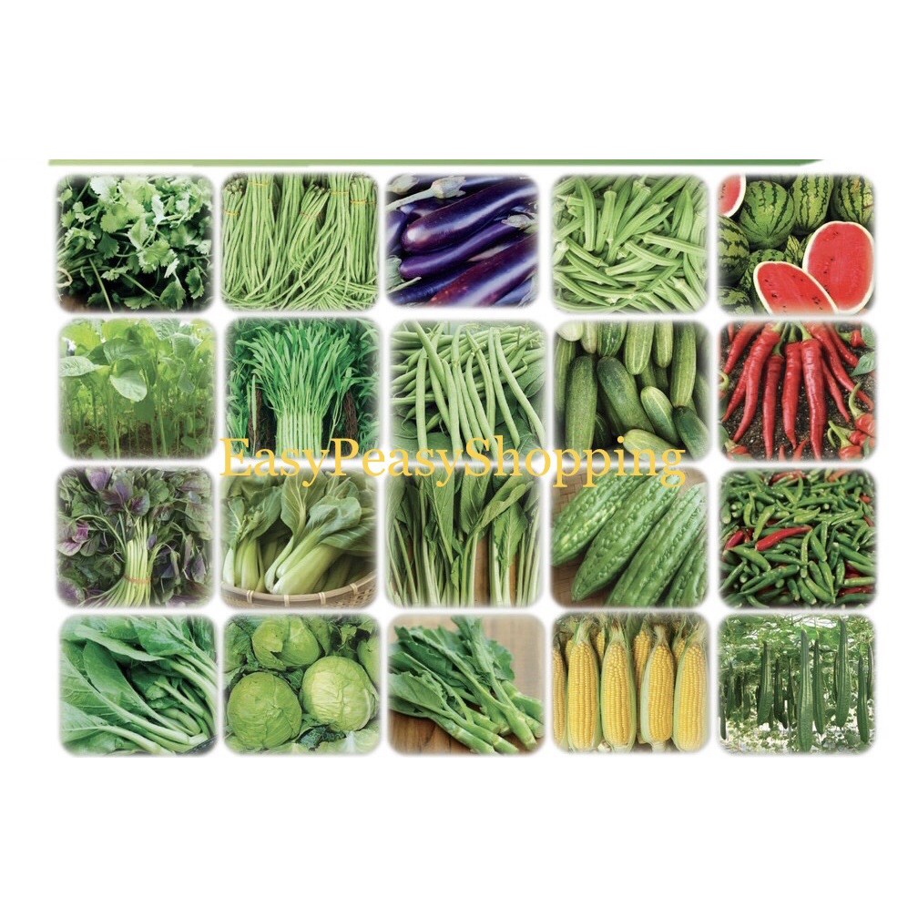 Benih Sayur Sayuran Malaysia /Vegetable Seed /Kebun Benih (READY STOCK ...