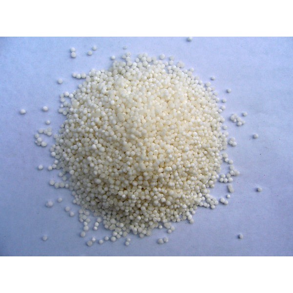 WHITE SAGO SEED / SAGU BIJI PUTIH 500GM | Shopee Malaysia
