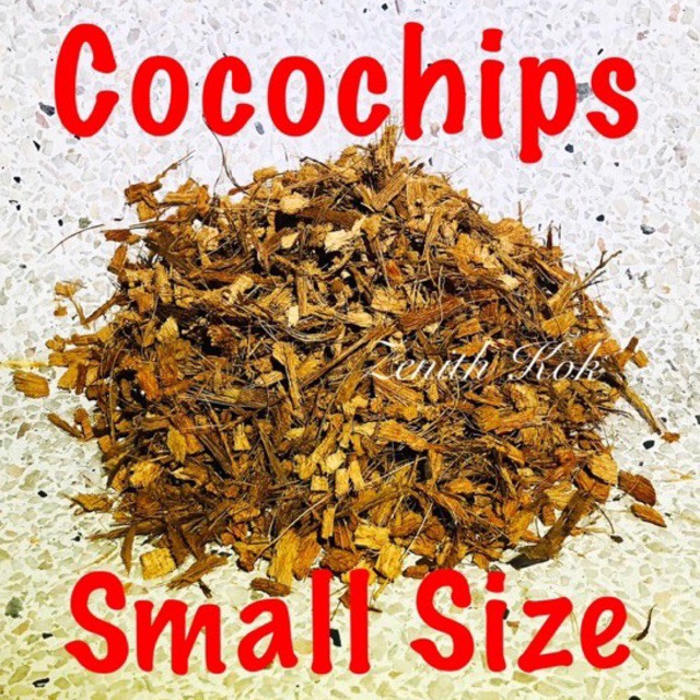 9 Liter +/- " SMALL " Cocochips ( plants / pokok ) Cocochunk Cocochip ...