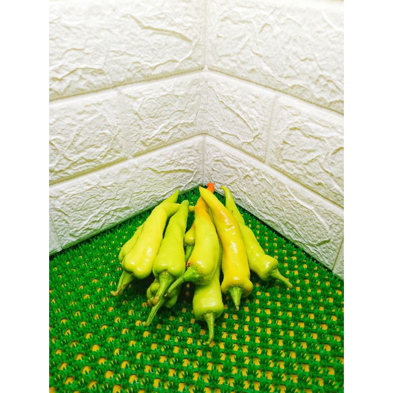 LADA SOLOK/LADA BESAR HIJAU FRESH DARI KEBUN (100g) | Shopee Malaysia