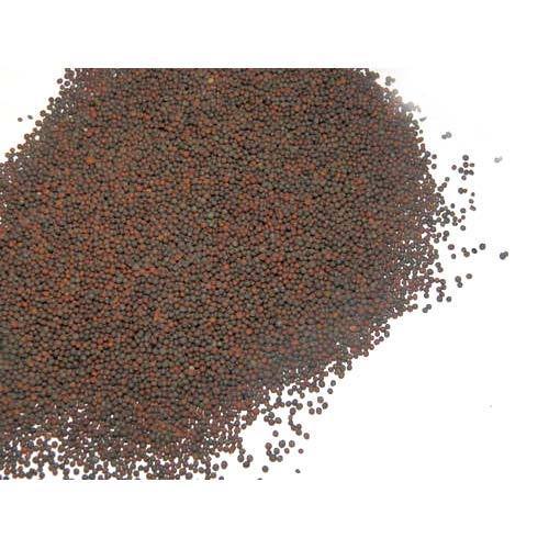 Rai Mustard Seed (Imported from India) | Shopee Malaysia