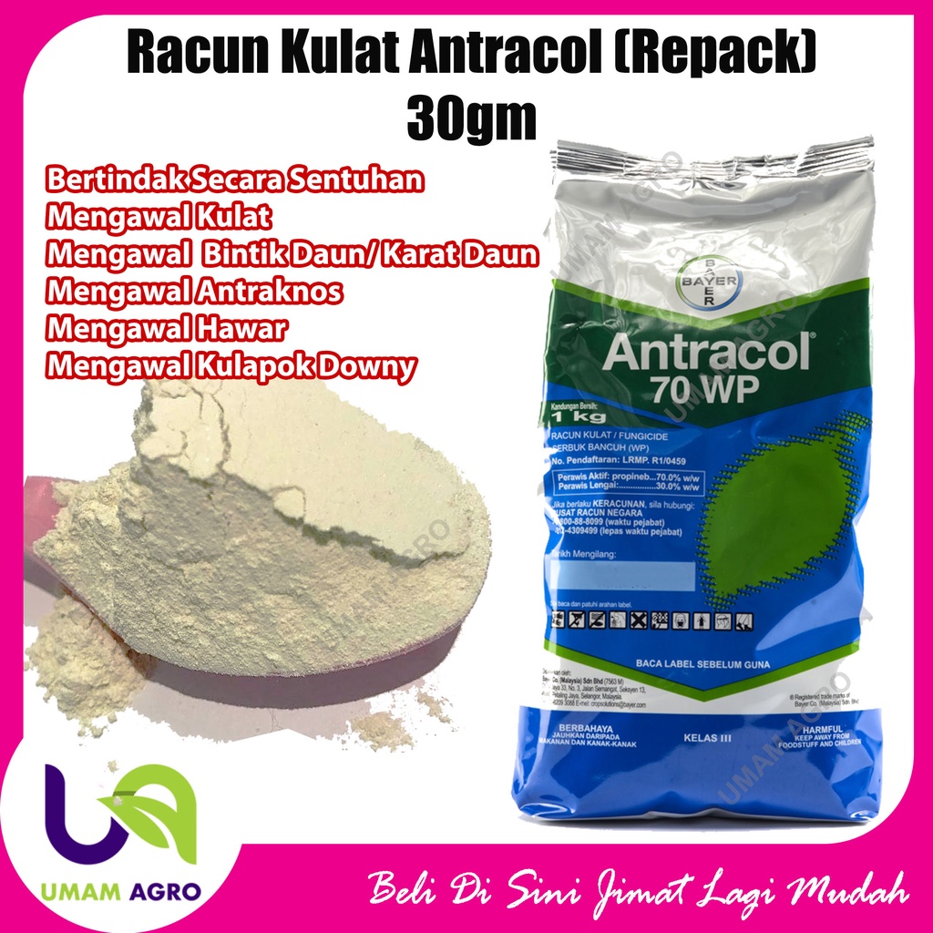30gm Antracol 70WP Racun Kulat Hawar Antraknos Kulapok Downy Propineb ...