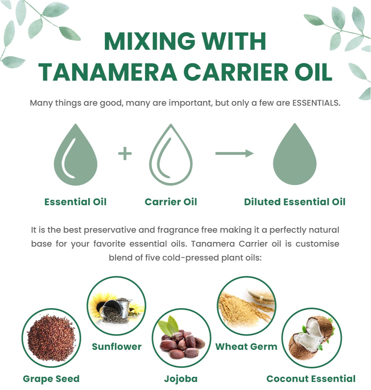 Tanamera Official Store Online, October 2022 | Shopee Malaysia