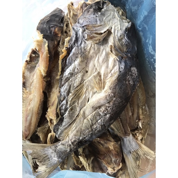 ikan kering | ikan masin | ikan masam plotan masam | Shopee Malaysia