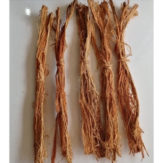 Akar Sintok / Akar Beluru / Sintok Root (30g) | Shopee Malaysia