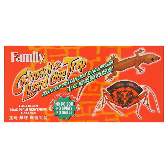 Family Non Poisonous Cockroach Trap & Lizard Glue Traps proudly Made in ...