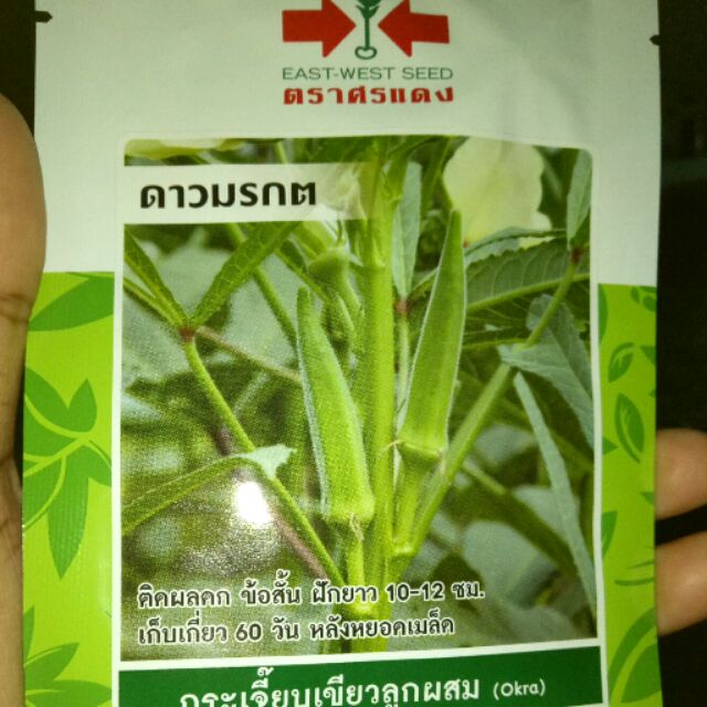 Benih Bendi Berkualiti dari siam | Shopee Malaysia