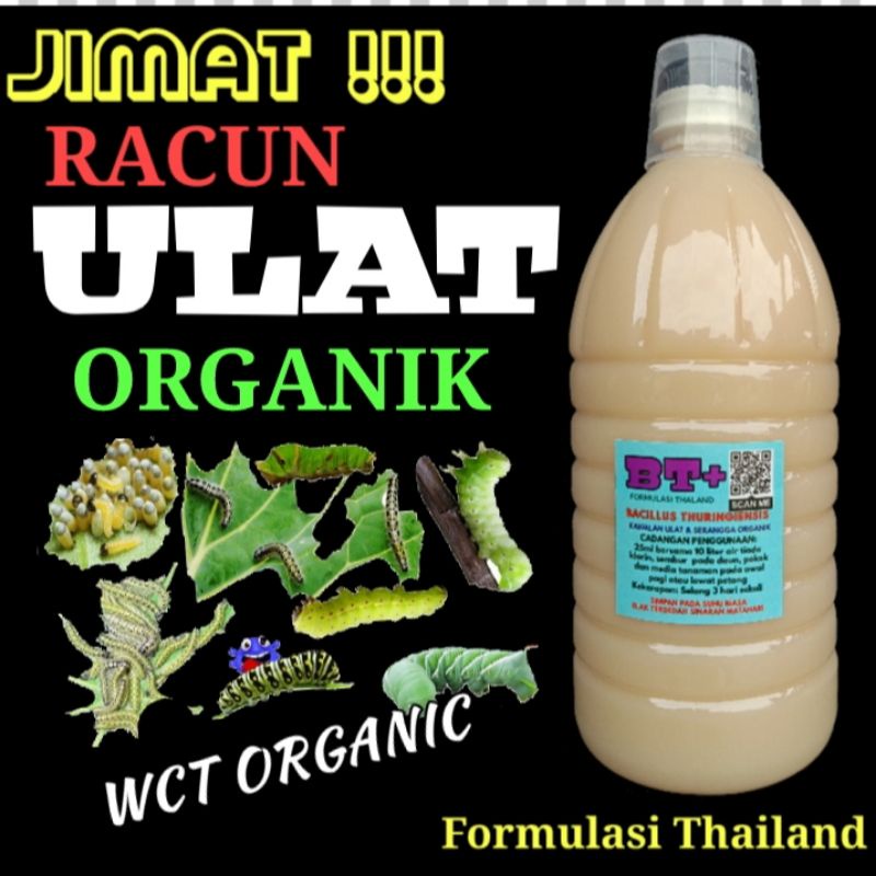 Racun Kawalan Ulat Organik BACILLUS THURINGIENSIS (BT) untuk masalah ...