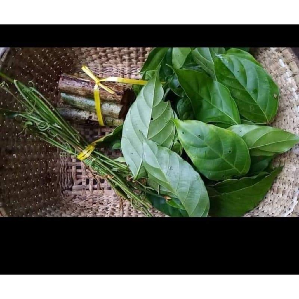 Gambir Keping Tebal Asli Sarawak Original | Shopee Malaysia