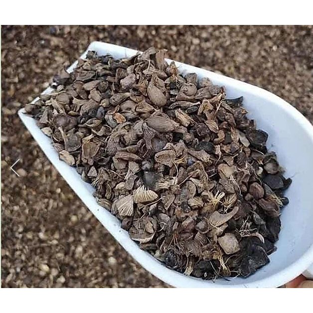 Palm Kernel Shell/ Cengkerang sawit 10kg | Shopee Malaysia