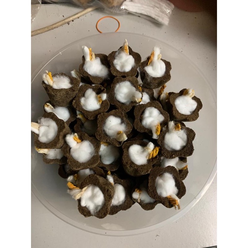 48 Pancagavya/panjakavya/panjagavya sanam vilaku with 4 types of thiri ...