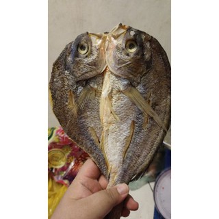 ikan masin sulit size SM 1kg | Shopee Malaysia