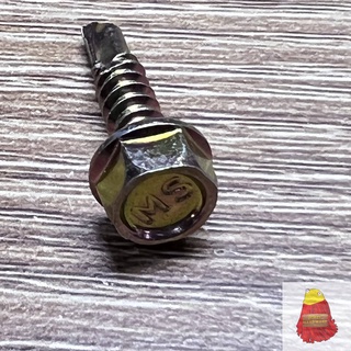 #10 x 3/4" Awning Screws (Skru Besi) Hex Head Self Drilling Screws ...