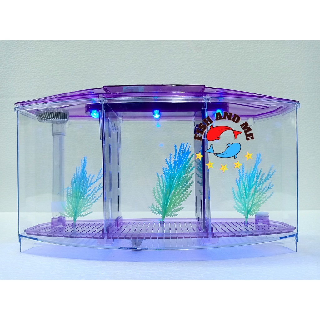 VENYS Triple Betta tank(with led lamp) | Shopee Malaysia