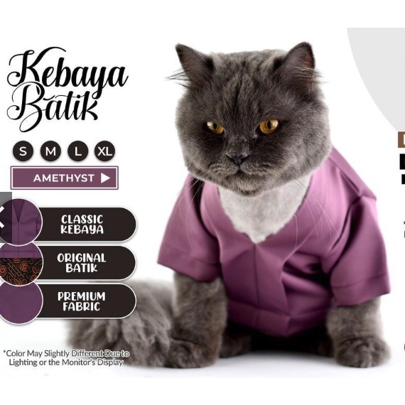 Baju Raya Kebaya Batik Kucing (Cat Photoshoot Costume Raya) | Shopee ...
