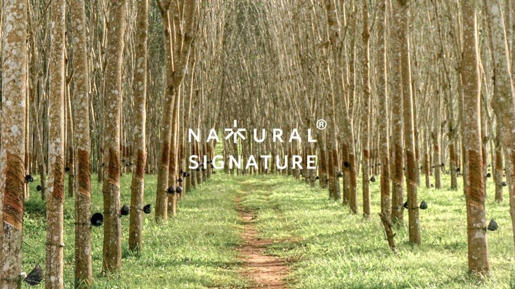 Natural Signature Malaysia Online, September 2022 | Shopee Malaysia