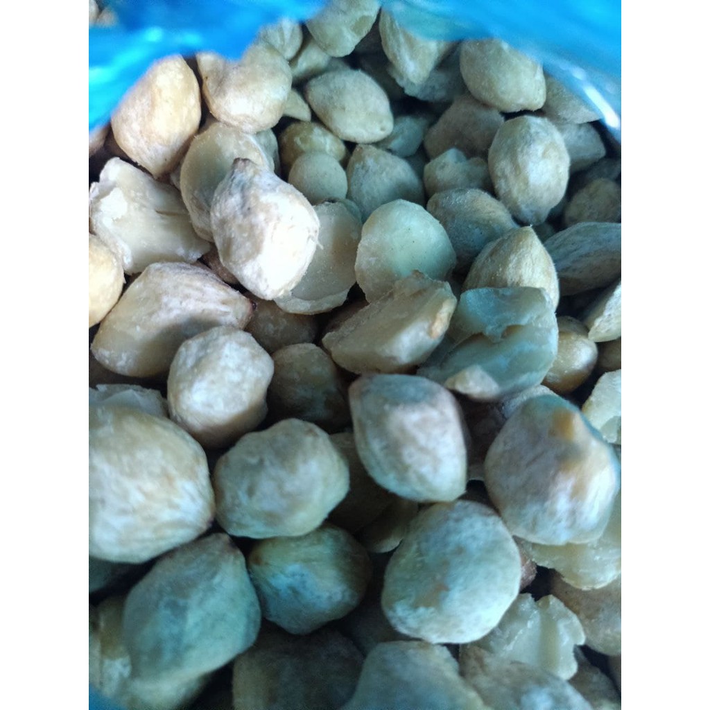 🔥Buah Keras 🔥/buah kemiri/ Candlenuts / 石古仔/500g | Shopee Malaysia