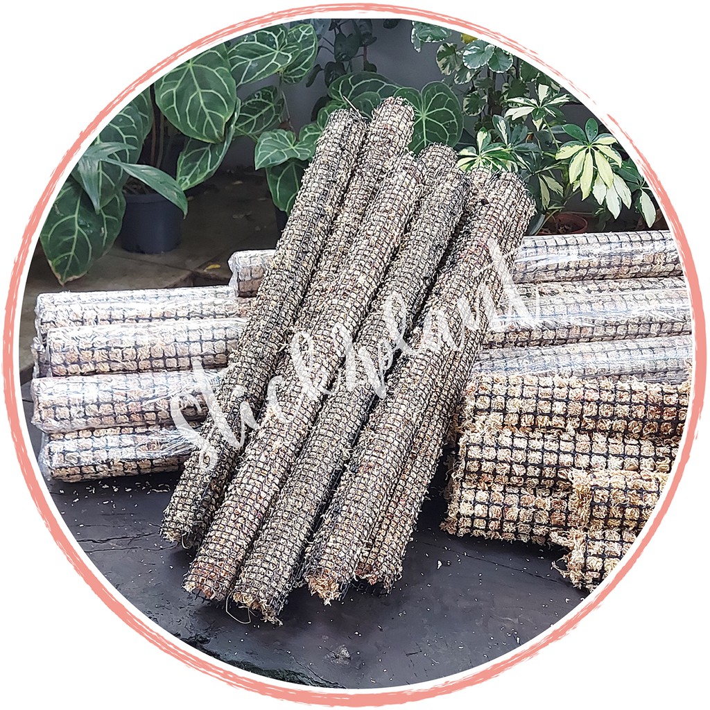 SPHAGNUM MOSS POLE @ BUDGET POLE @ HANDMADE @ CHILEAN MOSS @ FOR PLANTS ...