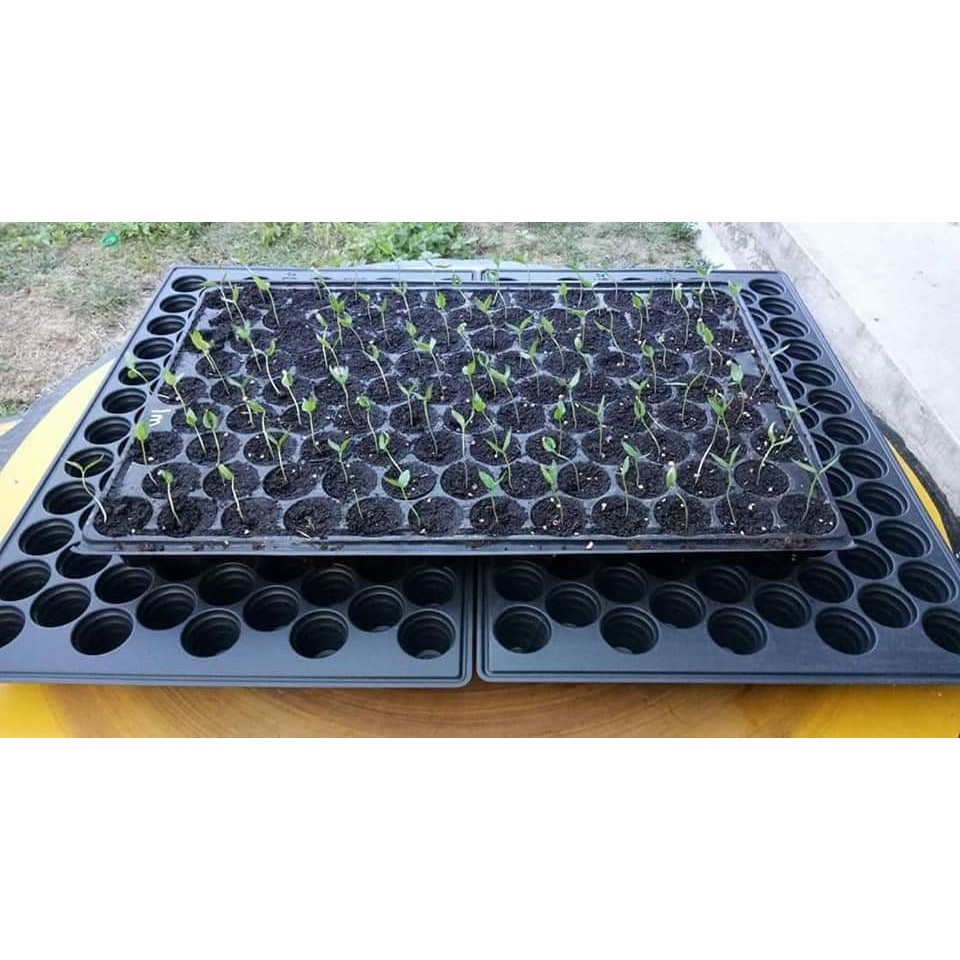 Seedling Tray Semaian (104 lubang) x 5 pcs | Shopee Malaysia