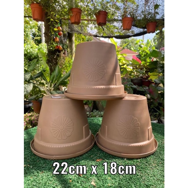 PASU BUNGA PLASTIK VIRAL HOT READY STOCK | Shopee Malaysia