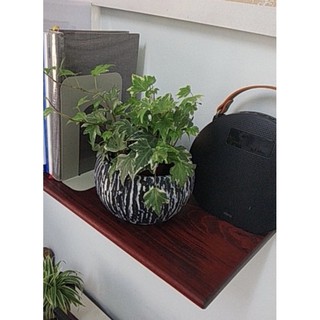 Rengas Wood/Timber plank rectangular 刨木 (20MM X 200MM X 300/450MM) Kiln ...