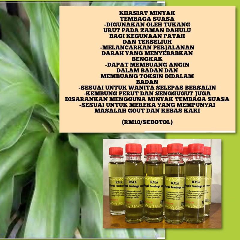 RAHSIA MAK ANDAM Minyak Tembaga Suasa Minyak Urut Traditional. | Shopee ...