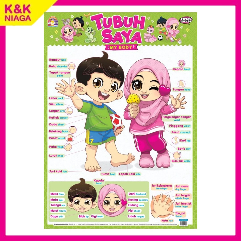Poster Belajar TUBUH SAYA (My Body) Poster Pendidikan Prasekolah Alat ...