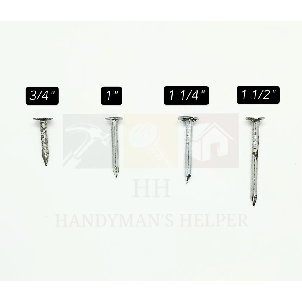 SOFTBOARD NAIL FLAT HEAD NAIL PAKU KEPALA BESAR | Shopee Malaysia