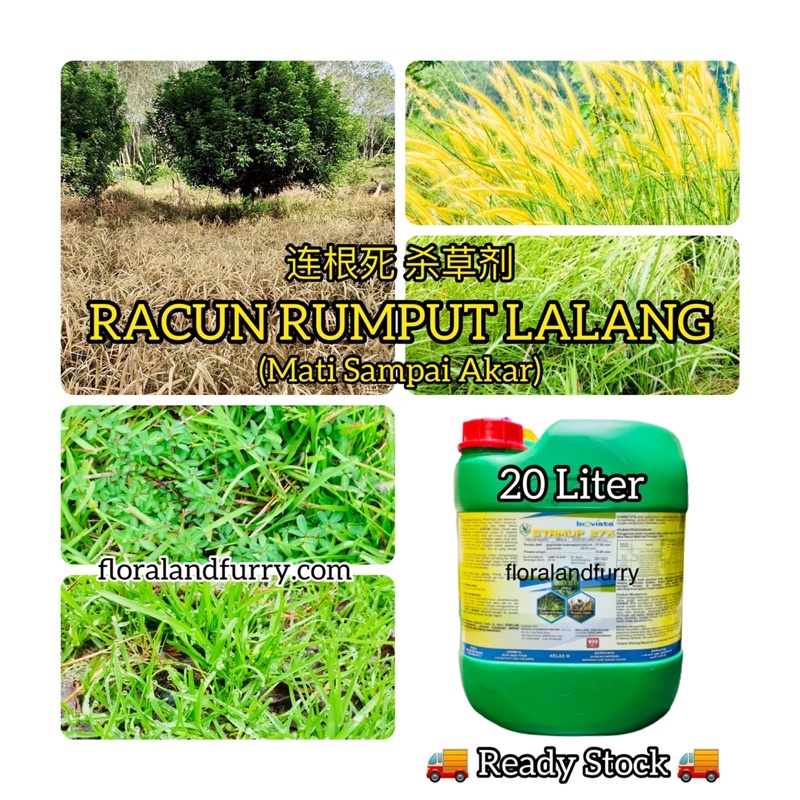 Racun Rumput Rumpai Lalang Mati Akar 20L Weed Killer Glyphosate 27% ...