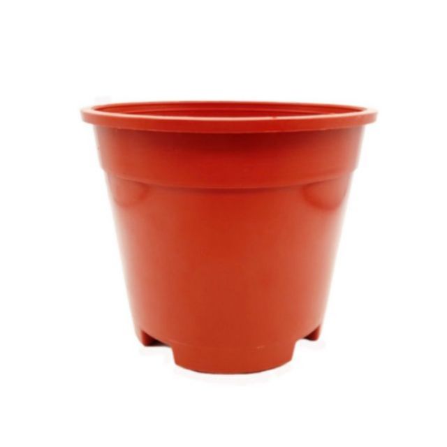 Pasu untuk pelbagai tanaman | Shopee Malaysia