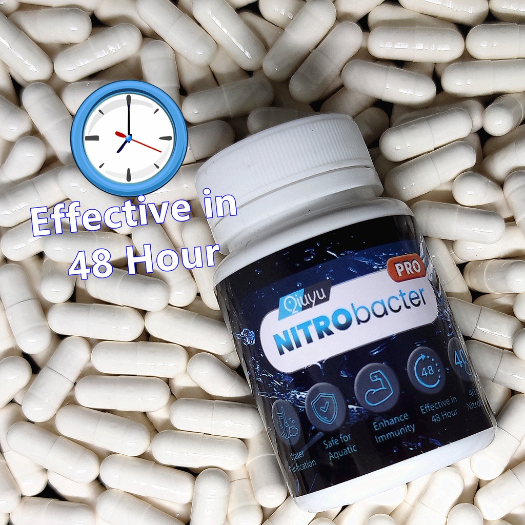 Qiuyu Nitrobacter Pro+ Concentrated Nitrobacteria/nitrifying 硝化菌 em菌 ...