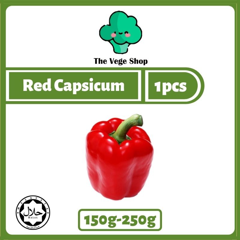 capsicum - Prices and Promotions - Feb 2023 | Shopee Malaysia