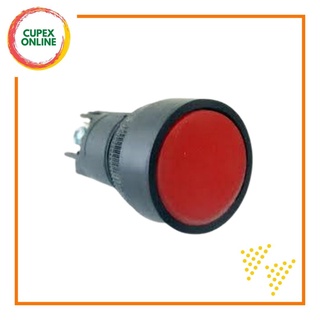 CIKACHI PB-22-G PB-22-R Push Button Switch Flat Head 22mm Green / Red (cupex) | Shopee Malaysia