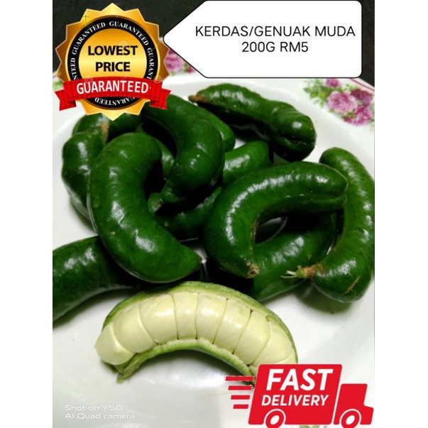 BUAH KERDAS/GENUAK MURAH 200G RM5 | Shopee Malaysia