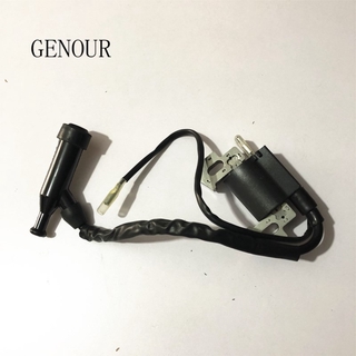 GENERATOR Ignition Coil For 2KW-3KW 168F/170F Gasoline Engine Generator ...