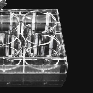 LABSELECT TC-treated 6 wells Sterile Cell Culture Plate | Shopee Malaysia