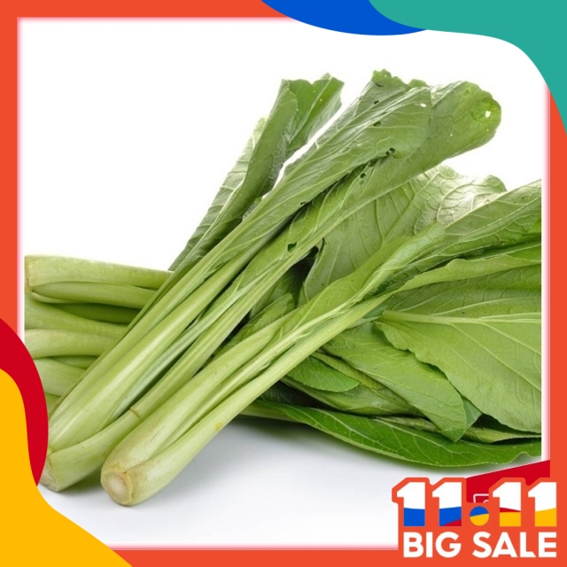 50pcs seeds GREEN MUSTARD/ sawi batang hijau 45 hari tuai dah/ HONG ...