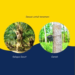 Racun Rumput Symbol 45SC Racun Rumput Sambau Racun Rumput Akar Ruas ...