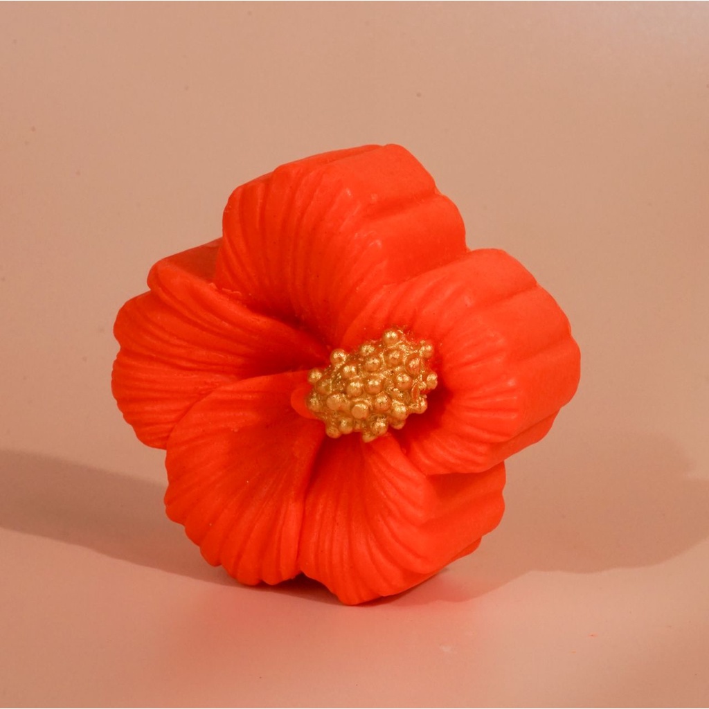 Wunderbath Hibiscus Bunga Raya Soap (Lexis Hibiscus X Wunderbath) (8 ...