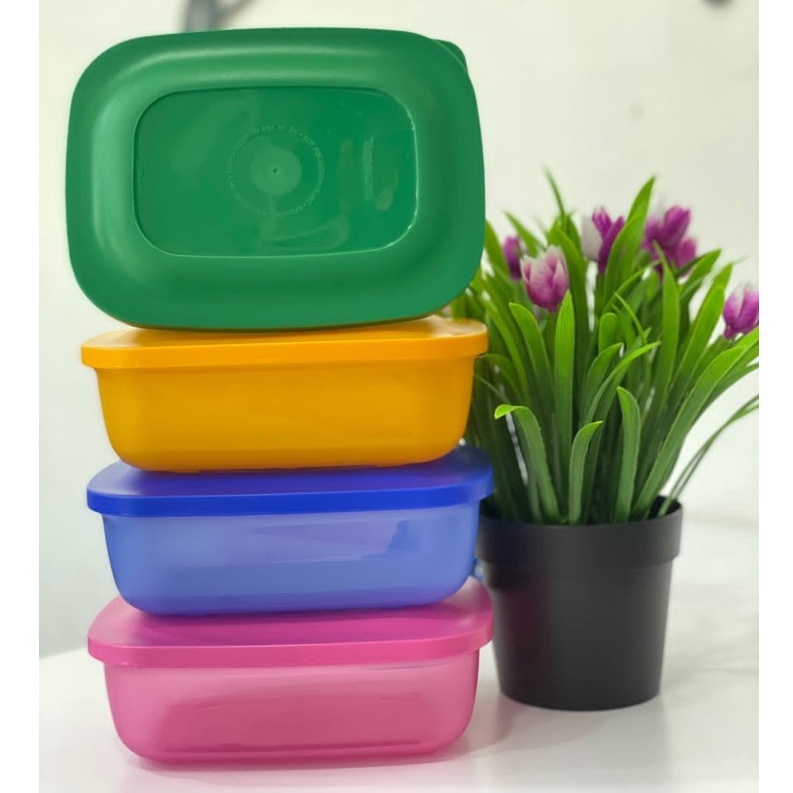 8 Colour: Tupperware Small Rectangular Saver Lunch Box 500ml Bekal nasi ...