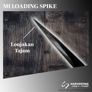 Loading Spike Agriculture Oil Palm Harvesting Tools) / Besi Loading ...