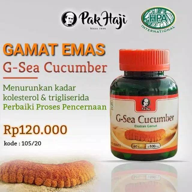Gold GAMAT G Sea Cucumber Hpa | Shopee Malaysia