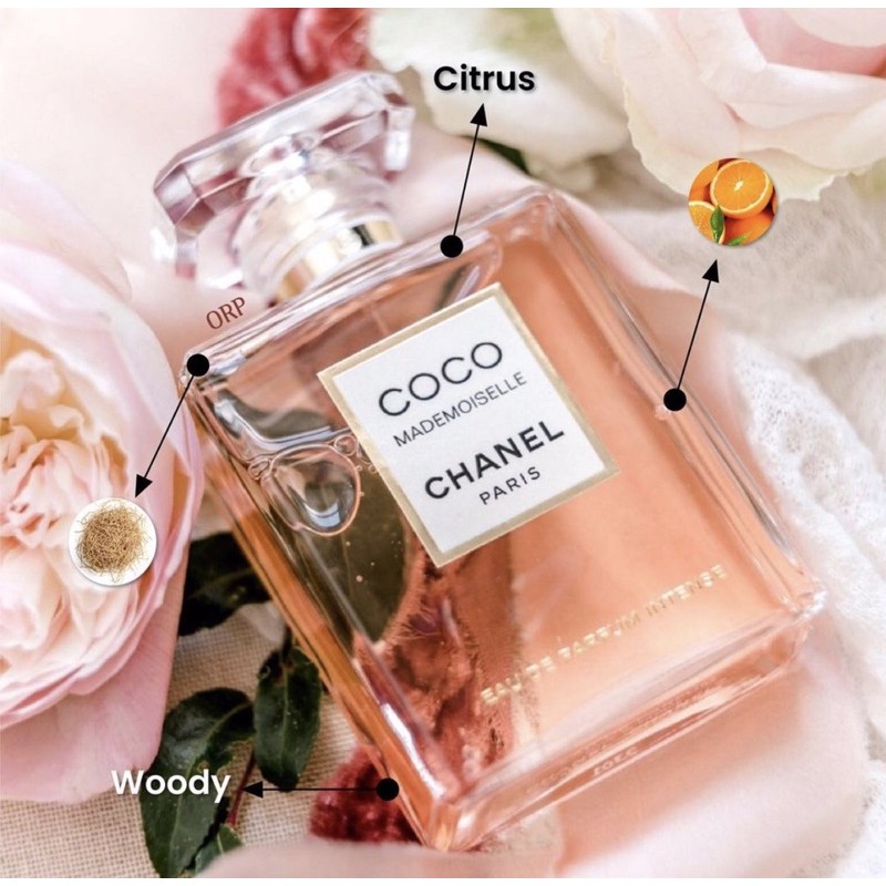 Coco Chanel Tumblr Pictures