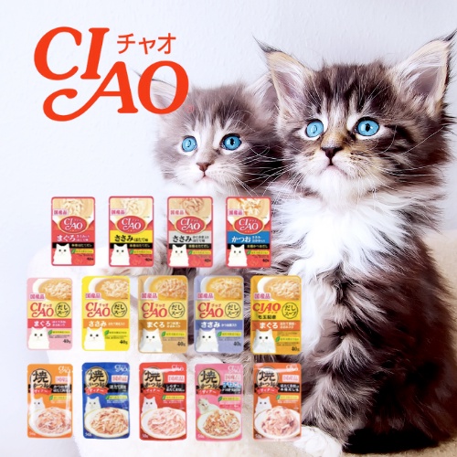 Inaba / Ciao Pouch Regular / Ciao Soup 40gm, Ciao Grilled Pouch 50gm ...