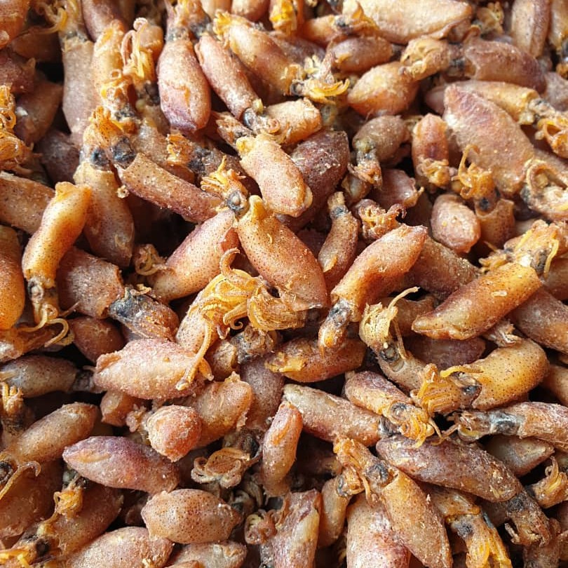 Sotong Cumit Sedang 200gm (Pulau Pangkor) - Hasil Laut Jamilah | Shopee ...