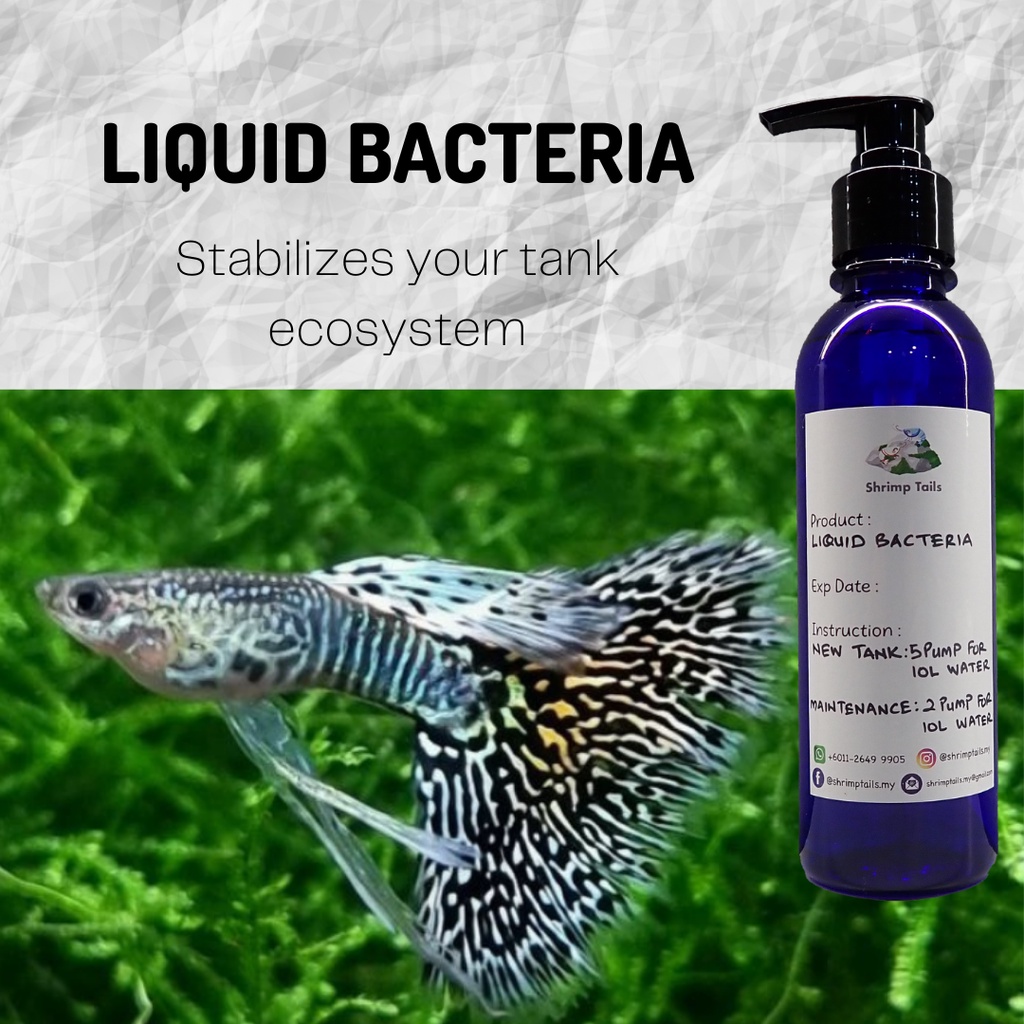 Liquid bacteria - 225ml | Shopee Malaysia
