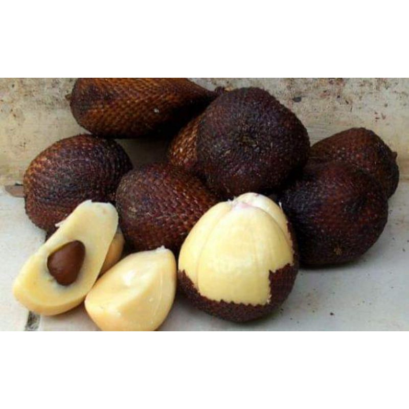 Buah Salak Fresh 1kG(buah besar&Manis) | Shopee Malaysia