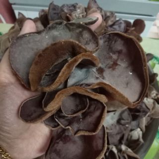 Cendawan Telinga Kera Kering / Dried Black Jelly Mushroom | Shopee Malaysia